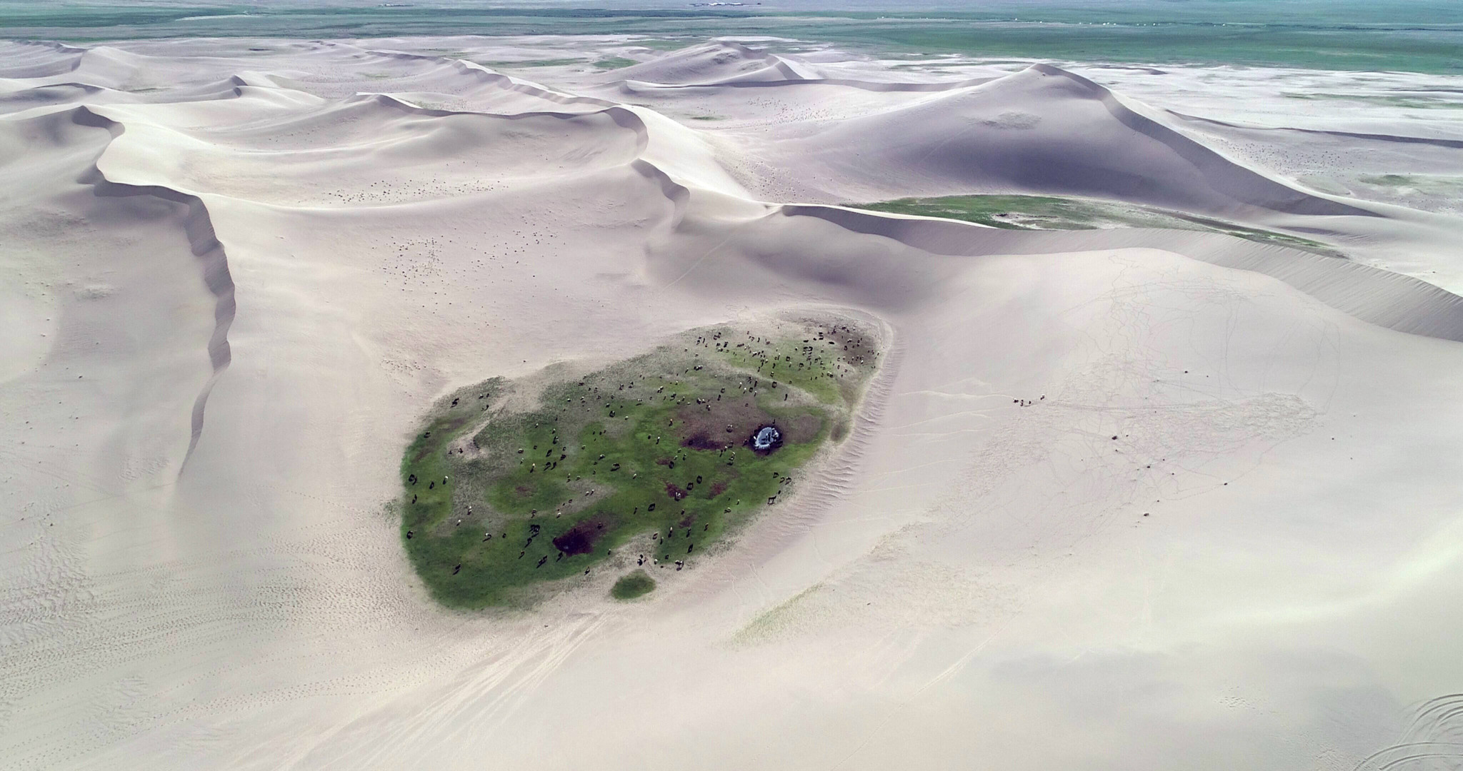 Klimawandel: Oasen breiten sich aus – das ist nicht nur gut | Tages ...