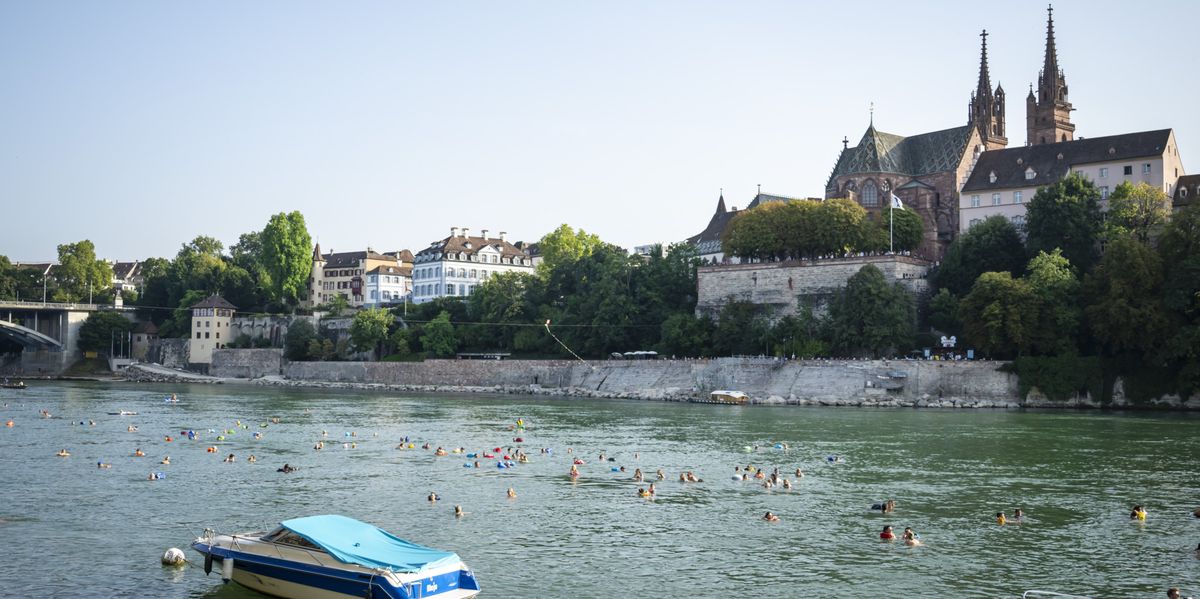 Bâle: une zone du Rhin pourrait être interdite aux hommes | 24 heures