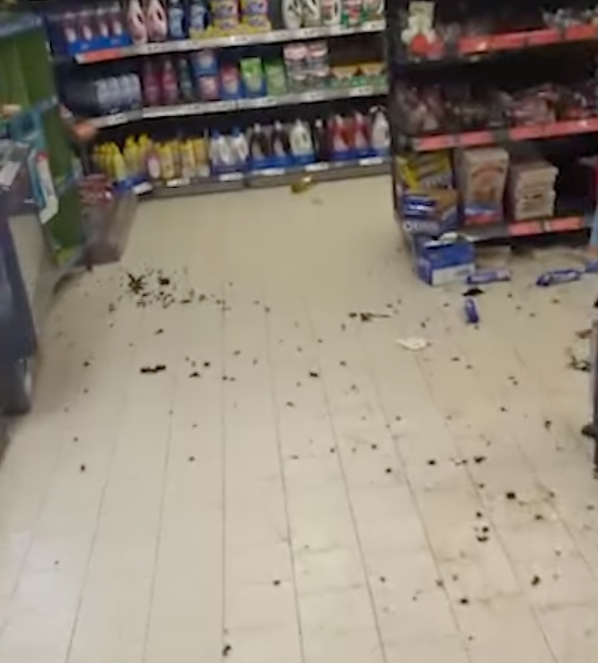 Burgsinn: 50 Schafe verkeilen sich bei Penny-Supermarkt