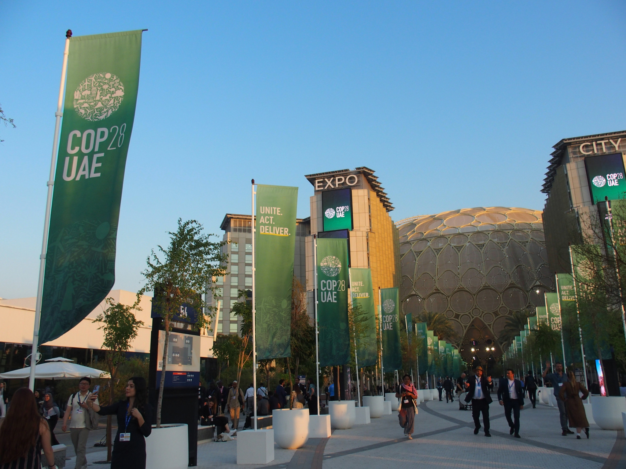 Conférence sur le climat: COP28 à Dubaï: une Genevoise raconte son ...