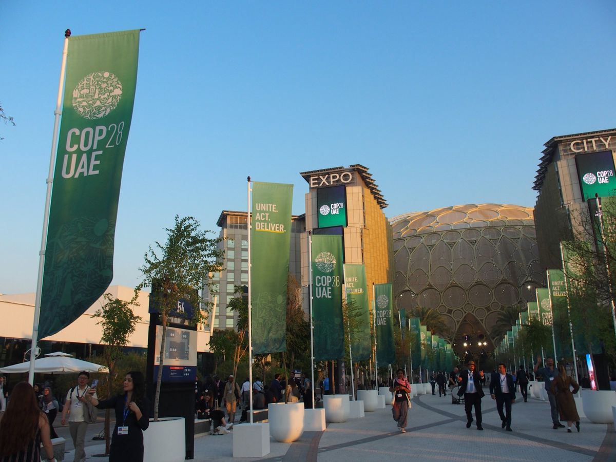 Conférence sur le climat: COP28 à Dubaï: une Genevoise raconte son ...
