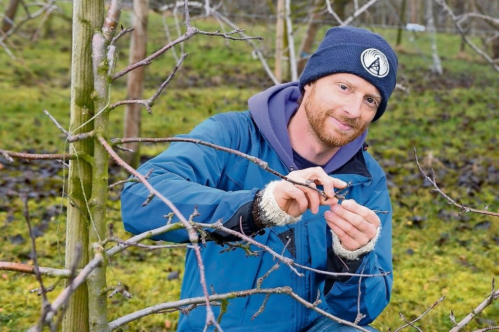 Der bisher milde Winter fördert das Wachstum von Schädlingen ...