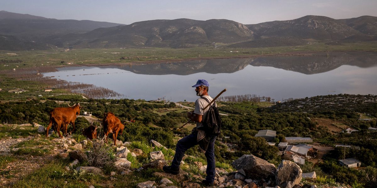 Bella.ibb nudes i have no qualms in state regarding such