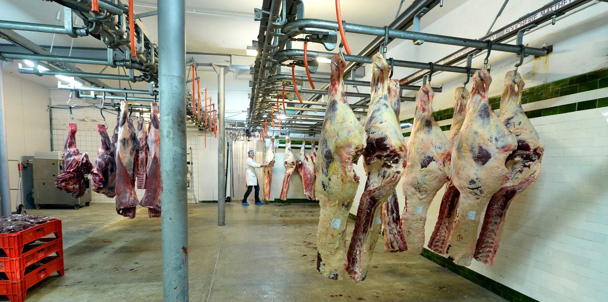 Clarens: L’abattoir obtient un sursis | 24 heures
