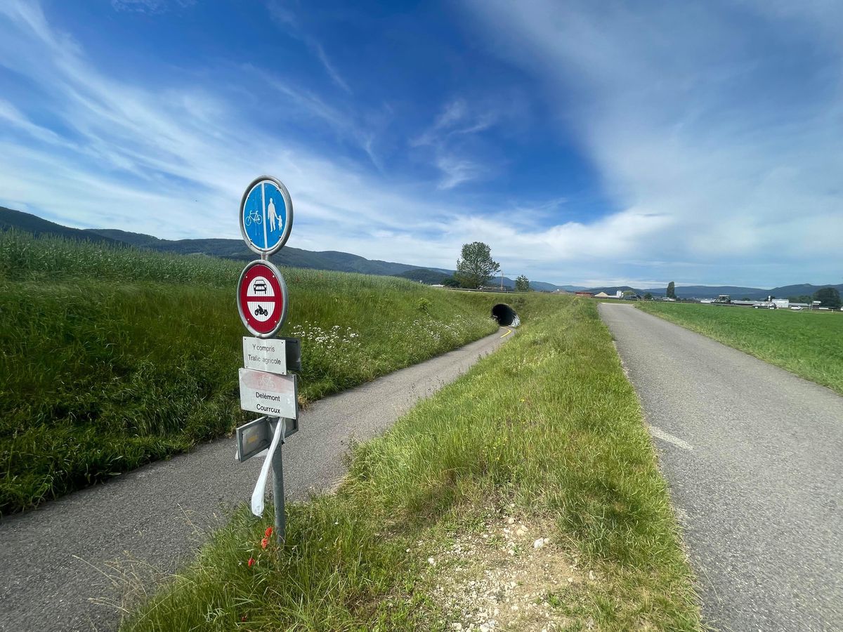 Fauchées sur une route rectiligne - Le Matin
