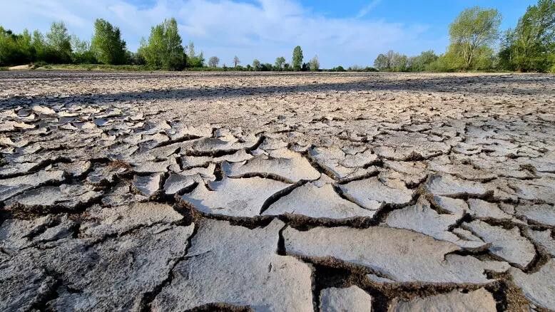Sécheresse des sols: L’Europe en meilleure situation qu’il y a un an ...