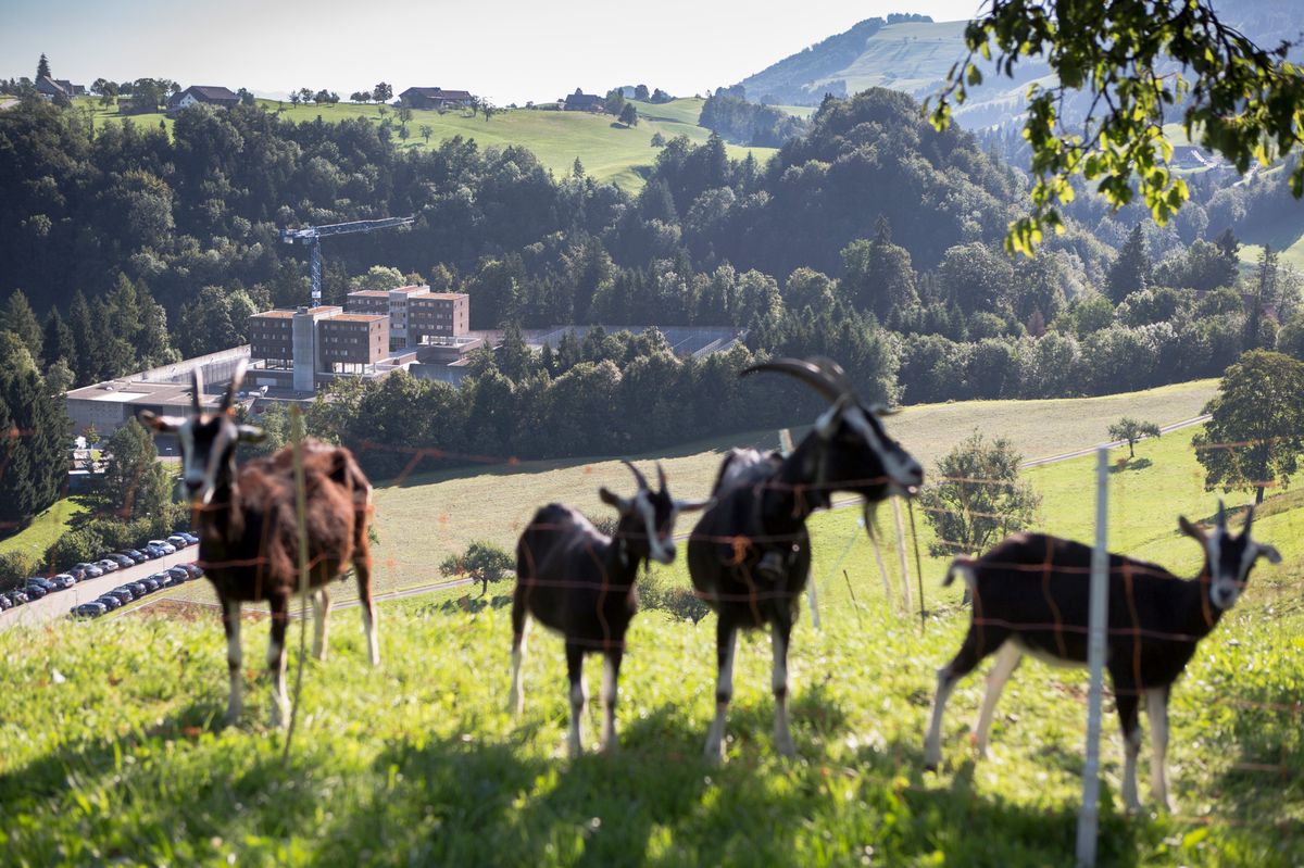 Mörder von Adeline M.: Verwahrter Vergewaltiger belästigte Frau aus dem ...