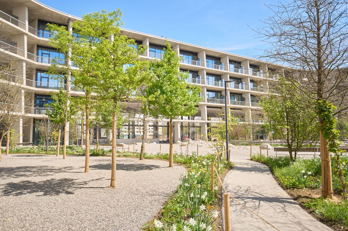 Schulstart nächsten Sommer: Neue Swiss International School in ...