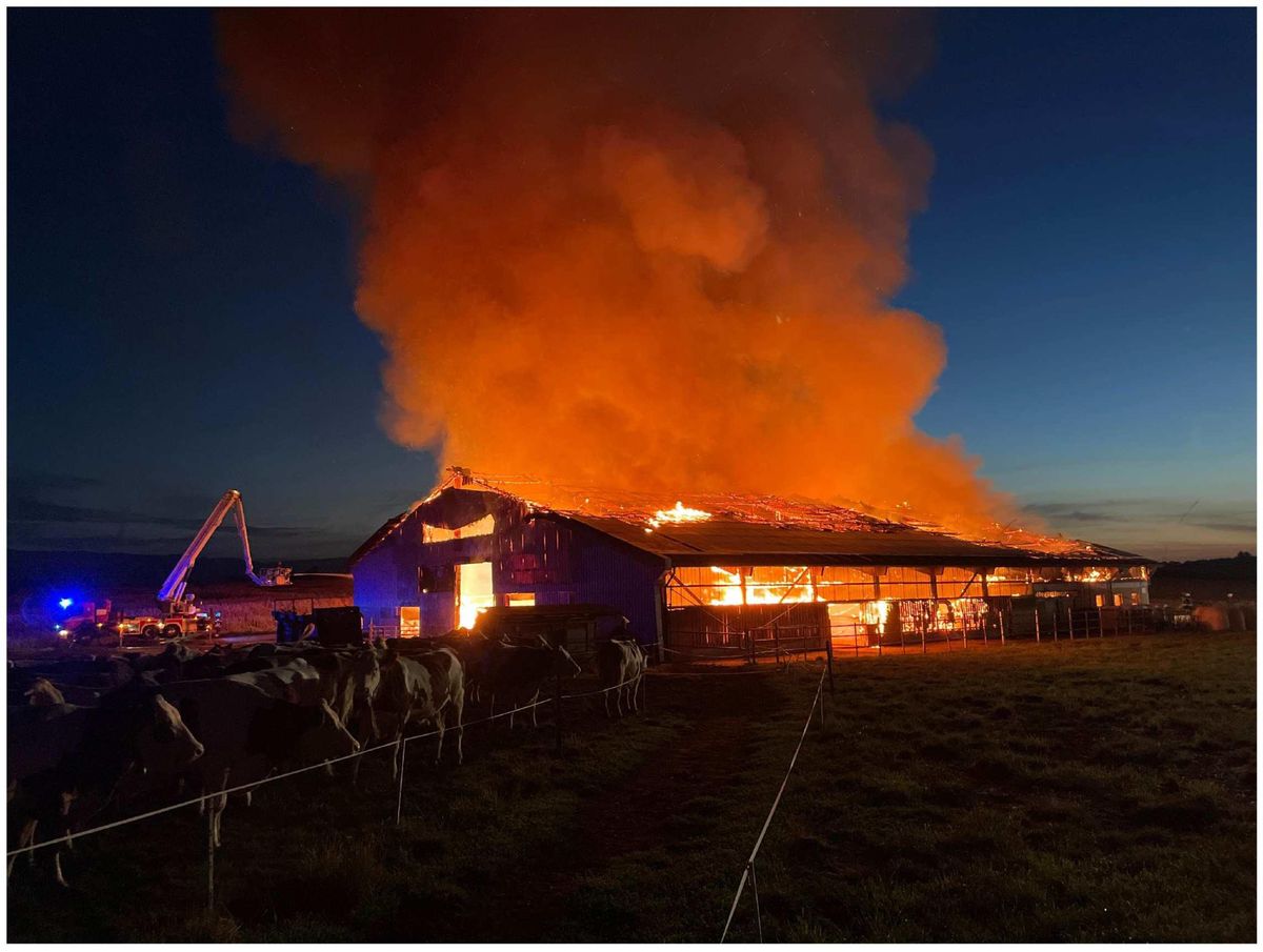 Broye valdo-fribourgeoise: Une ferme laitière part en flammes à Grandcour