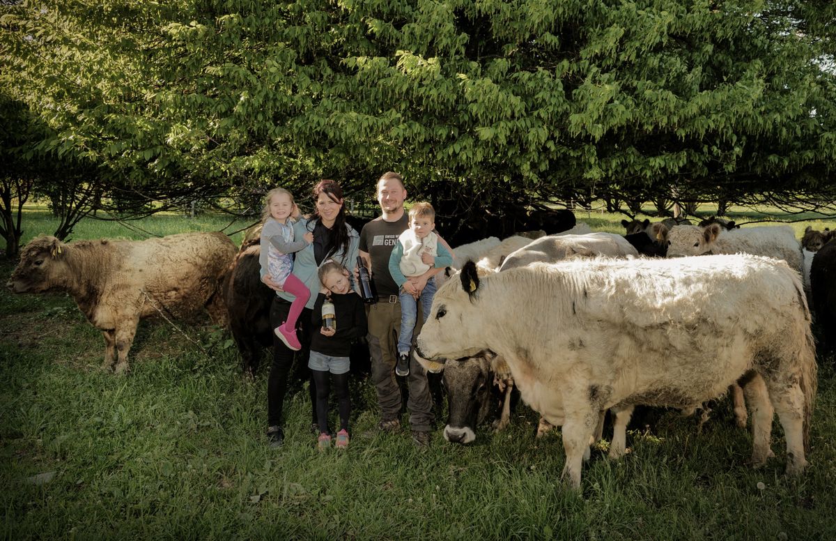 Terroir et élevage à Genève: Des vaches heureuses et de la vigne à ...