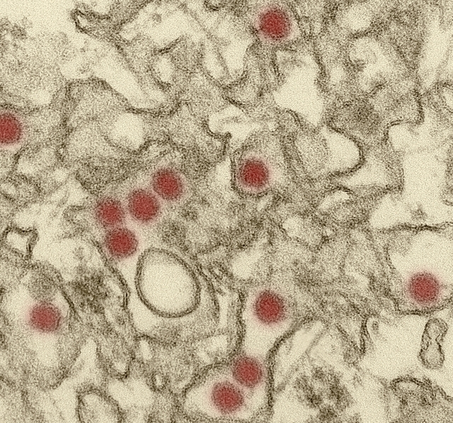 Ist ein Fussballturnier schuld an der Zika-Epidemie?