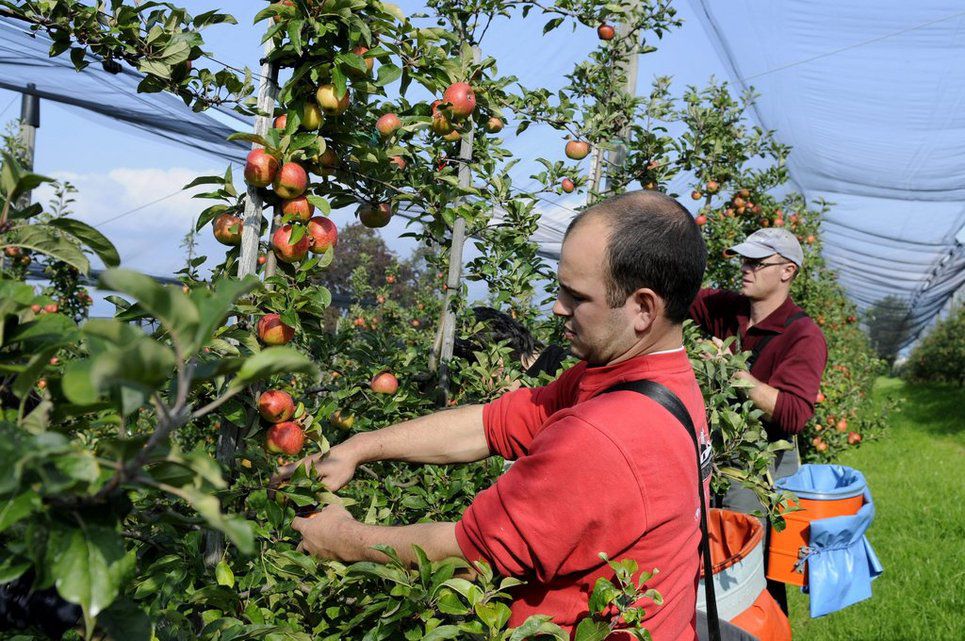 Bio: Schweiz als Vorbild für die EU | Tages-Anzeiger