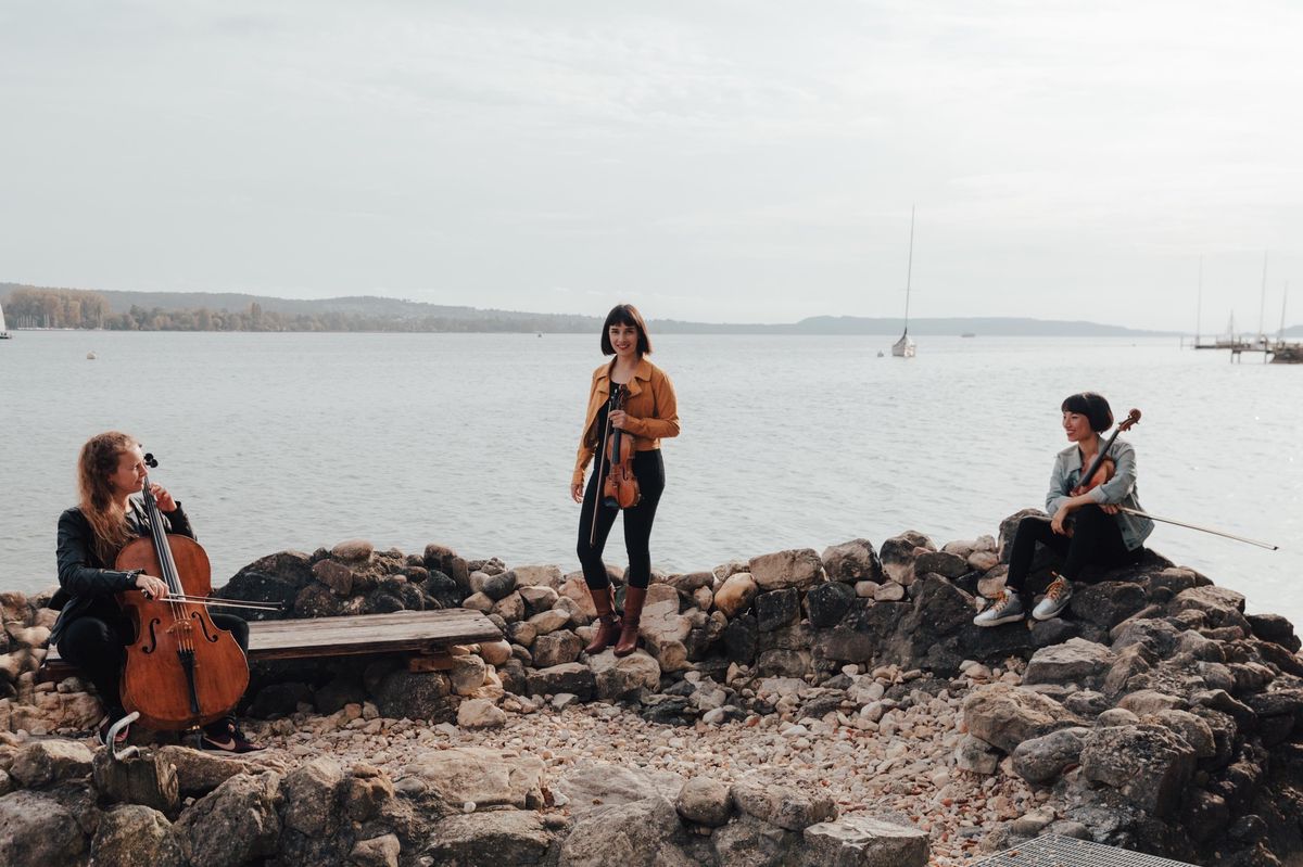 Massloser Komponist: Vesperkonzerte feiern Max Regers Geburtstag ...