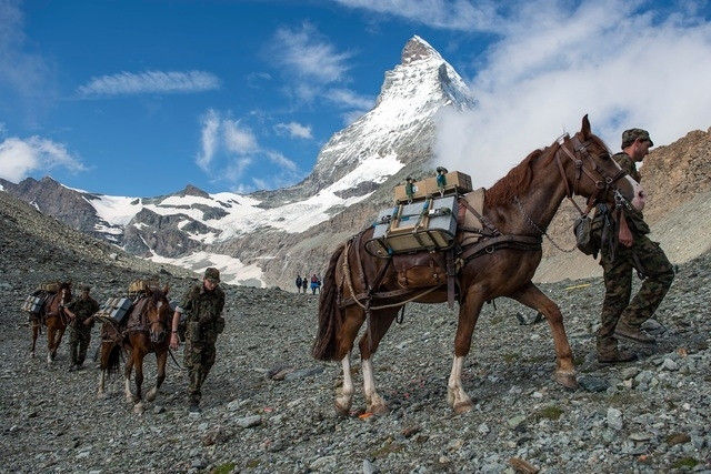 Suisse: l’armée paie toujours plus pour ses chevaux
