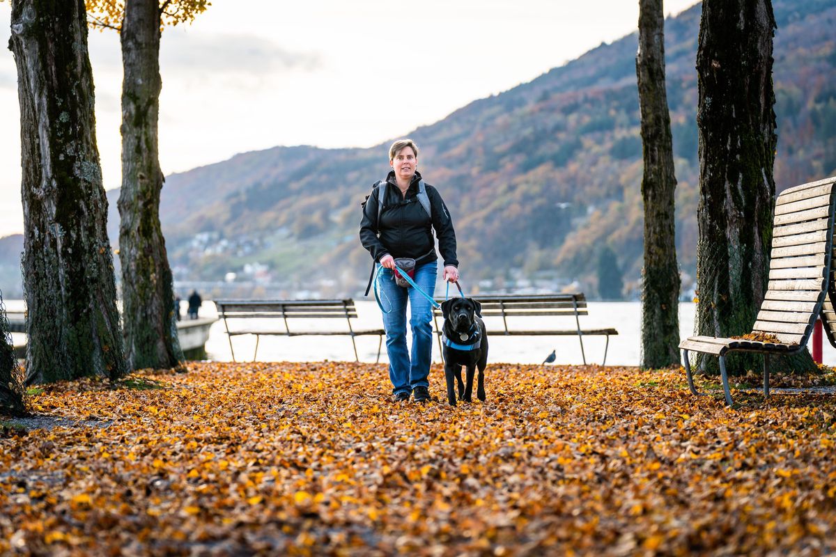Zum Blindenhund bestimmt: Warum sich eine Familie aus Biel einen Hund ...