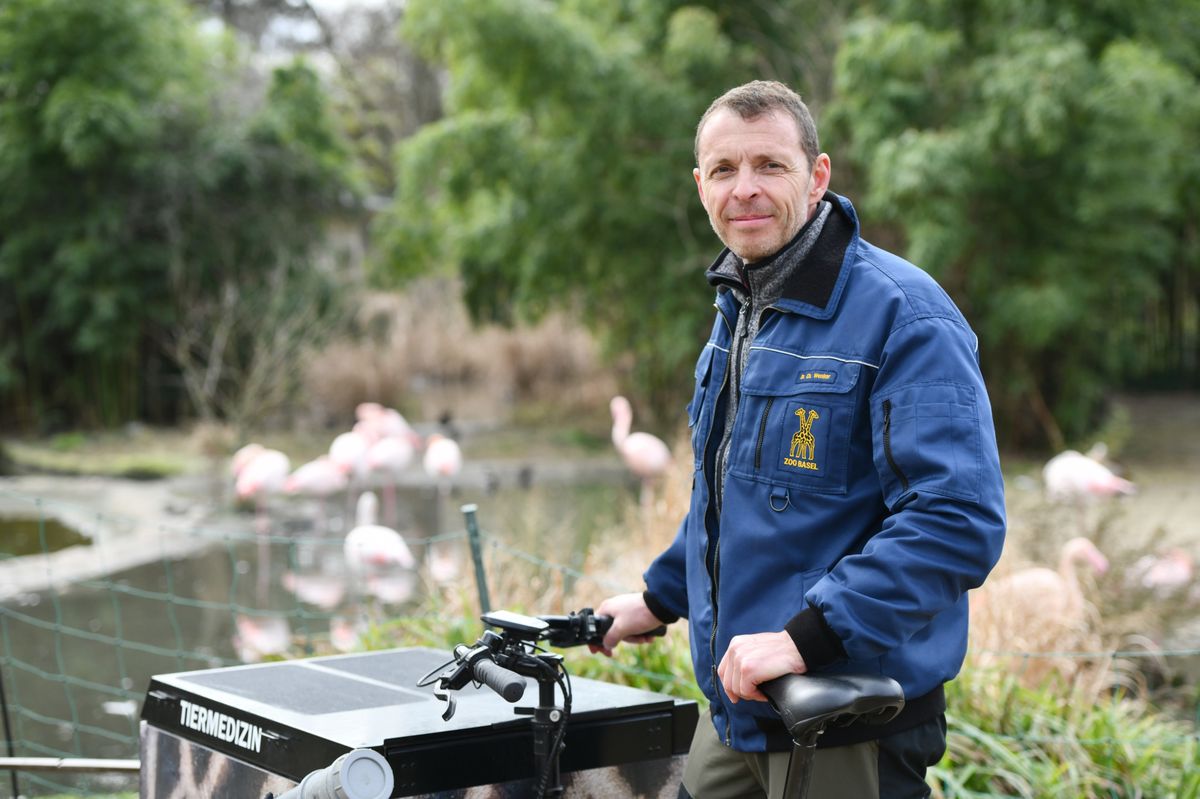 Tierarzt im Zoo Basel: Christian Wenker heilt Nashorn und Co | Basler ...