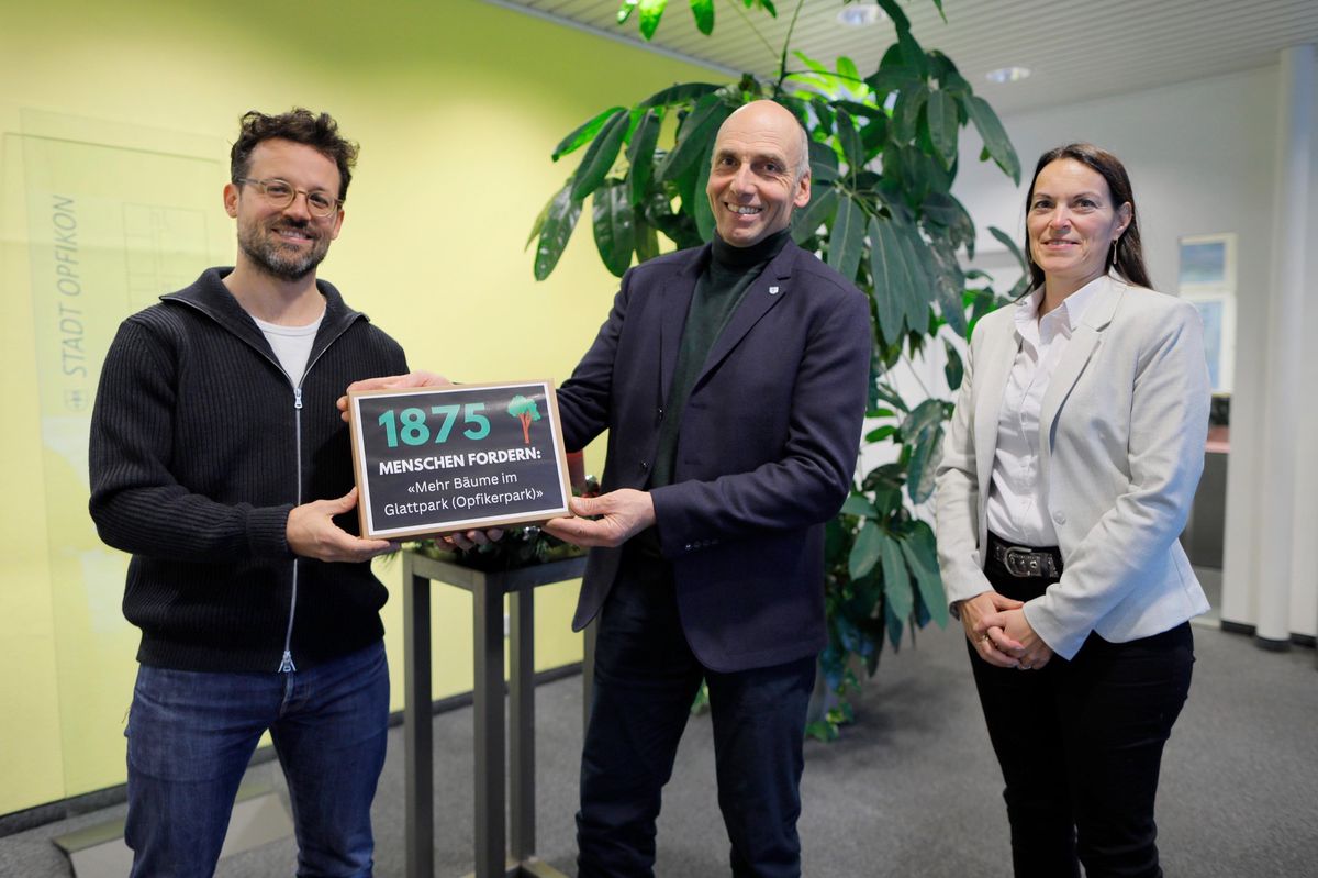 Petition will mehr Schatten: 1875 Unterschriften für mehr Bäume im ...