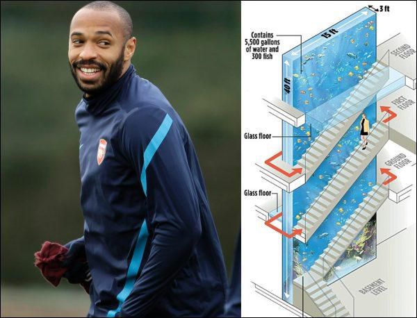 Insolite – Thierry Henry veut un aquarium géant - L'essentiel