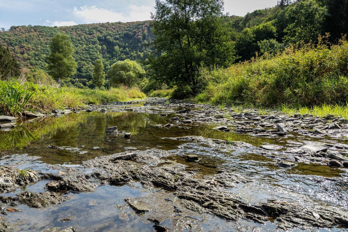 Sécheresse au Luxembourg: L’eau des rivières a cédé sa place… aux gros cailloux - L'essentiel