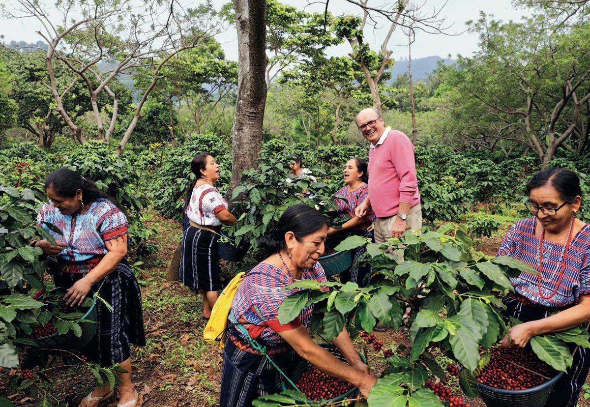 Ulrich Gurtner in Guatemala: Der Winterthurer Kaffeehändler kämpft ...