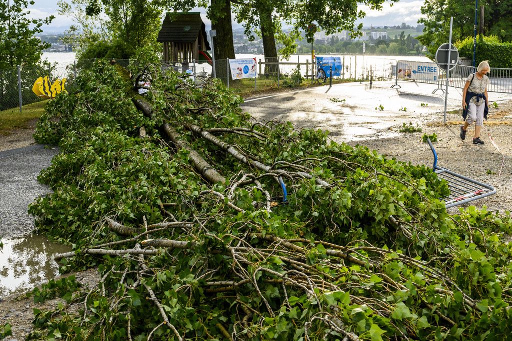 Unwetter in der Westschweiz: Rekordniederschläge und Orkanböen stören ...