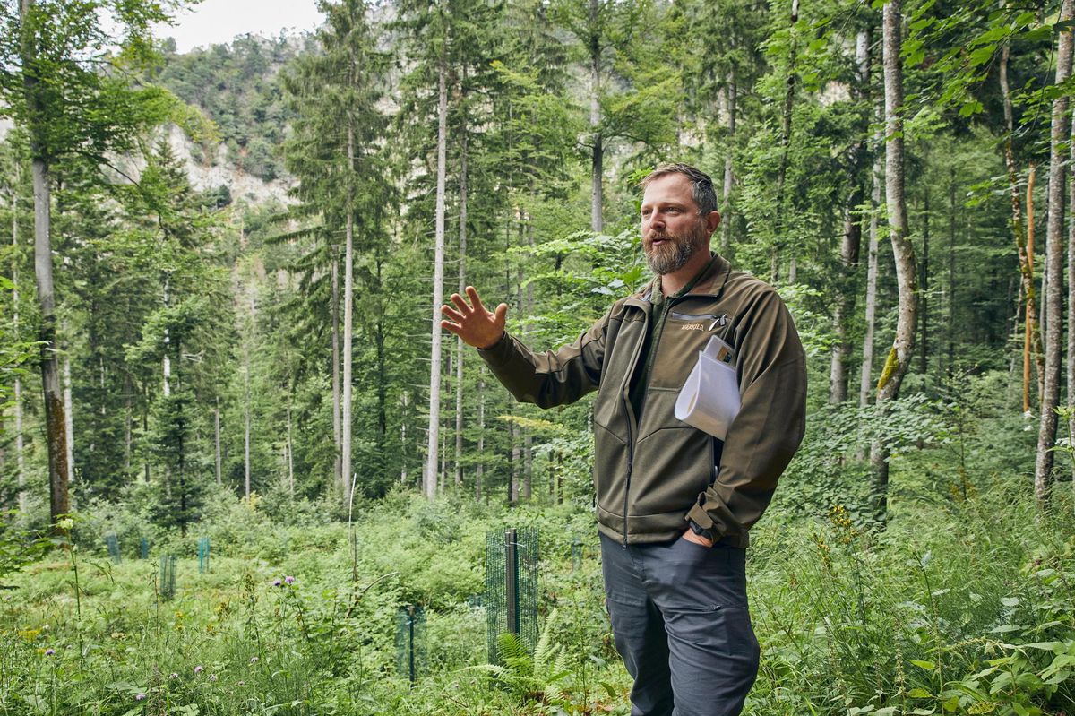 Kompensation gleich vor der Haustür - Die ersten CO2-Zertifikate aus ...