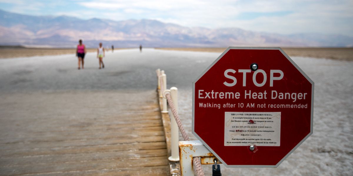 Hitze und Waldbrände: Mit dem Klimawandel leben lernen | Berner Zeitung