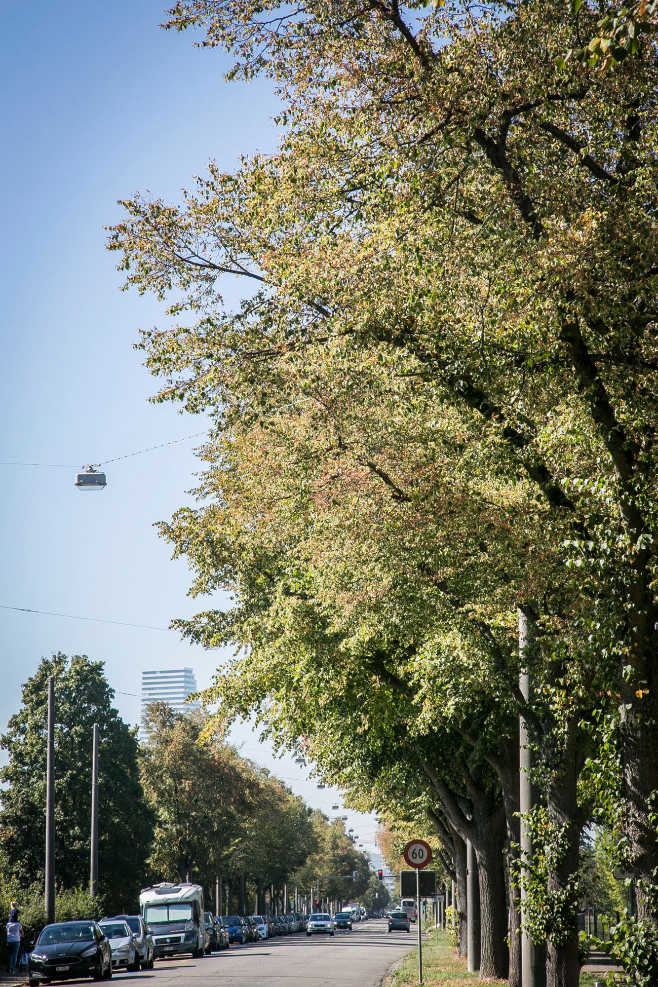 Weihnachten in Basel: Markus Wüest im BaZ-Adventskalender über -minu ...