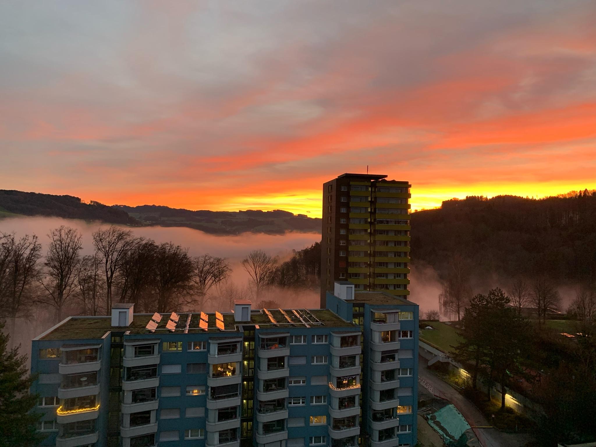 Bilder des Monats – Dezember: Das sind die schönsten Leserbilder des ...