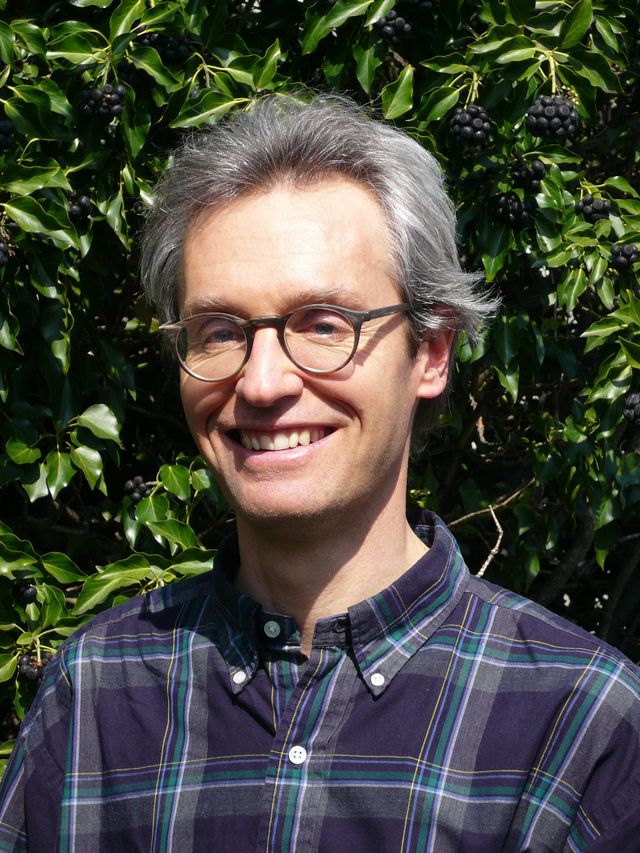 Le chêne résiste sur le Plateau malgré la canicule | Tribune de Genève