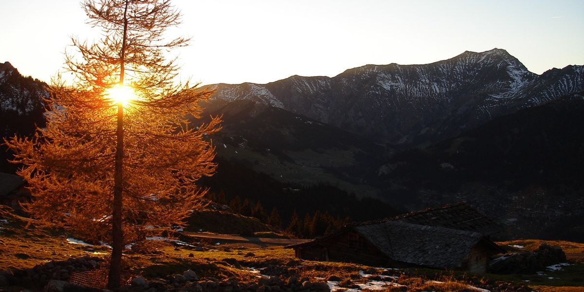 Kolumne Irene Graf: Ein Sonnenaufgang mit Folgen
