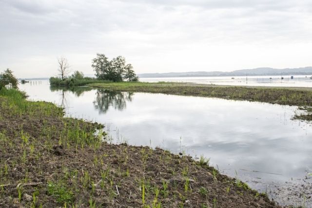 Un projet à 2,6 millions pour revitaliser la Broye | 24 heures
