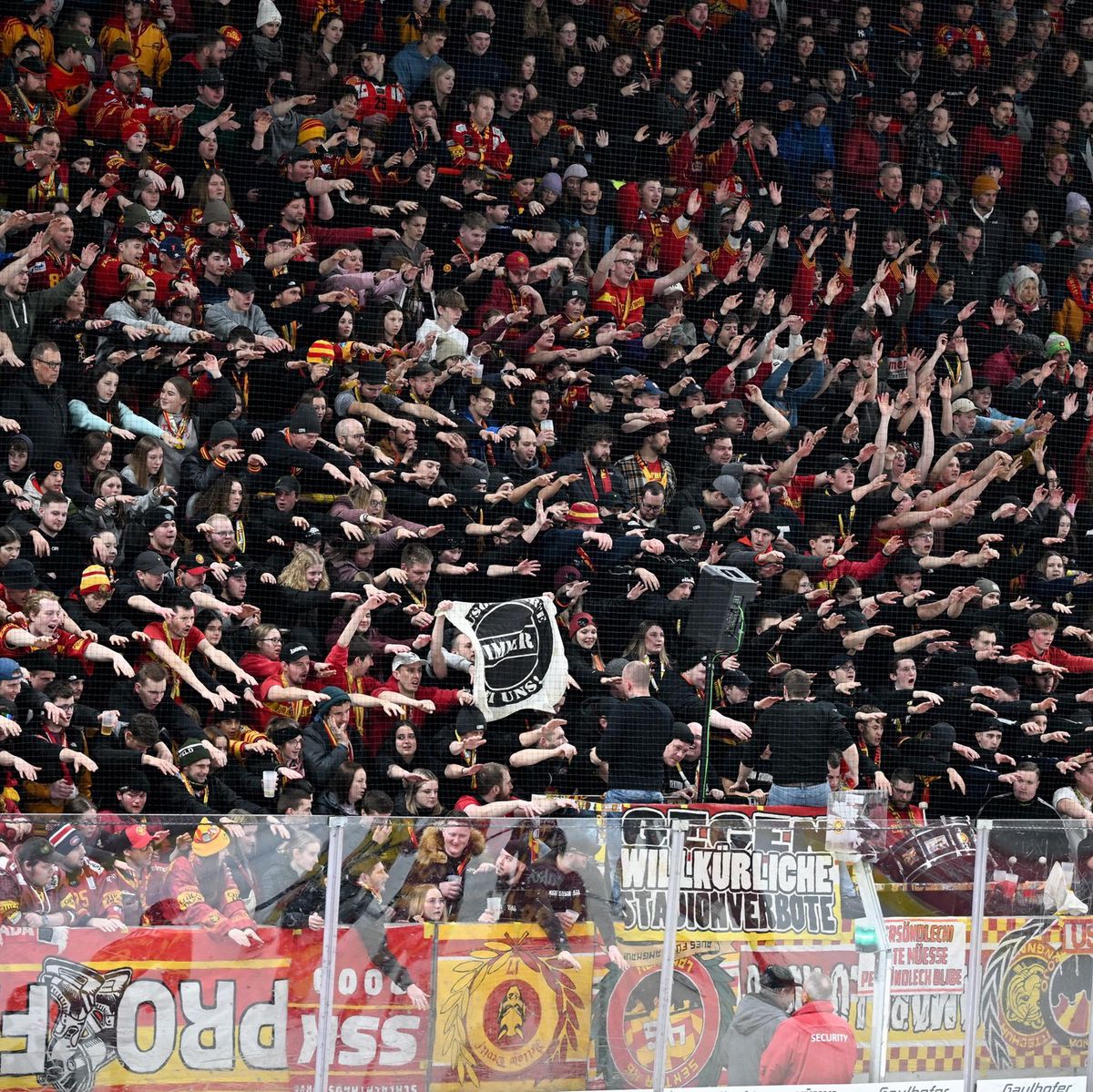 SCL Tigers HCD: Langnau gewinnt gegen den HC Davos | Berner Zeitung