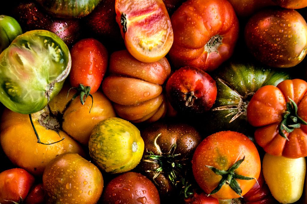 Die perfekte Tomate | Der Bund