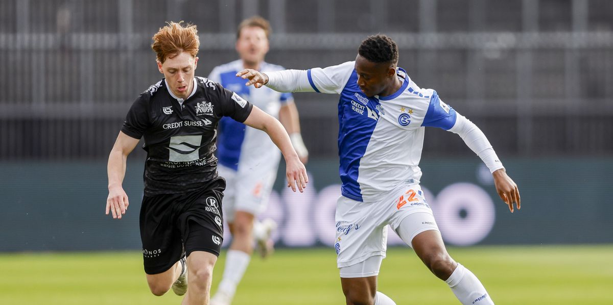 Neuer Ansatz im Siedlungsbau: Ein lebendiger Mini-Wald vor dem Haus ...