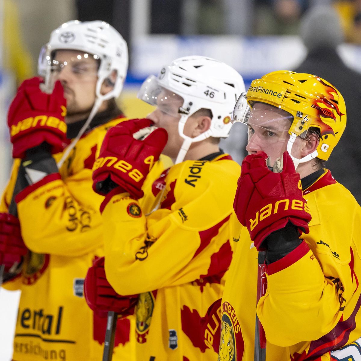 SCL Tigers | Berner Zeitung