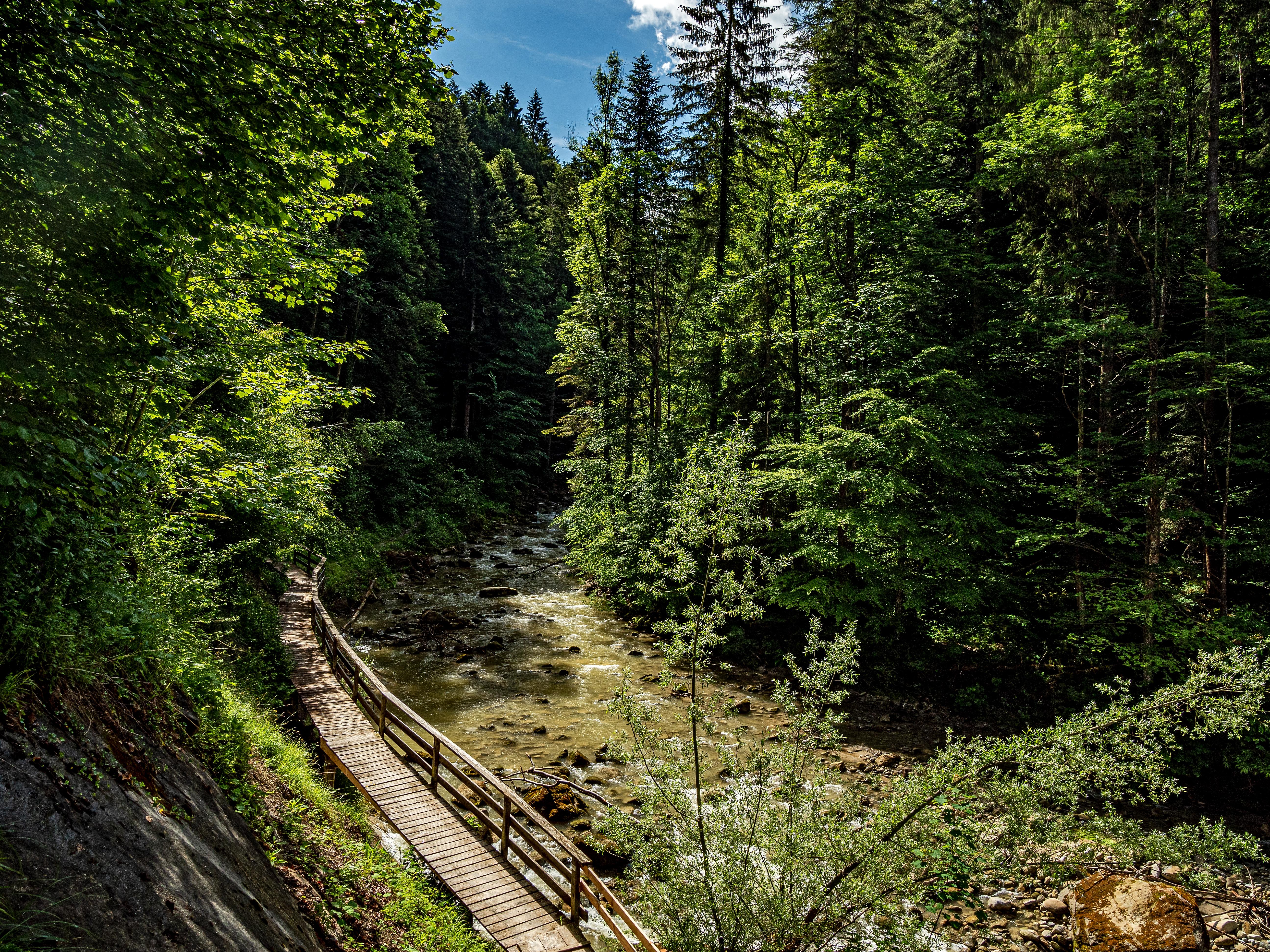 5 Flusswanderungen in der Schweiz: Kühl und grün – Wanderrouten entlang ...