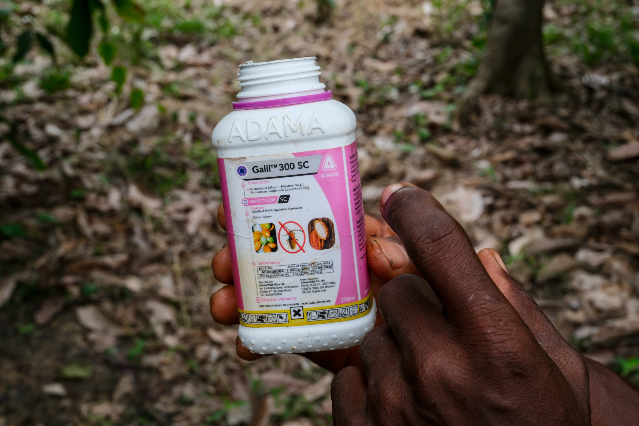 Lindt: pesticides toxiques utilisés sans protection au Ghana