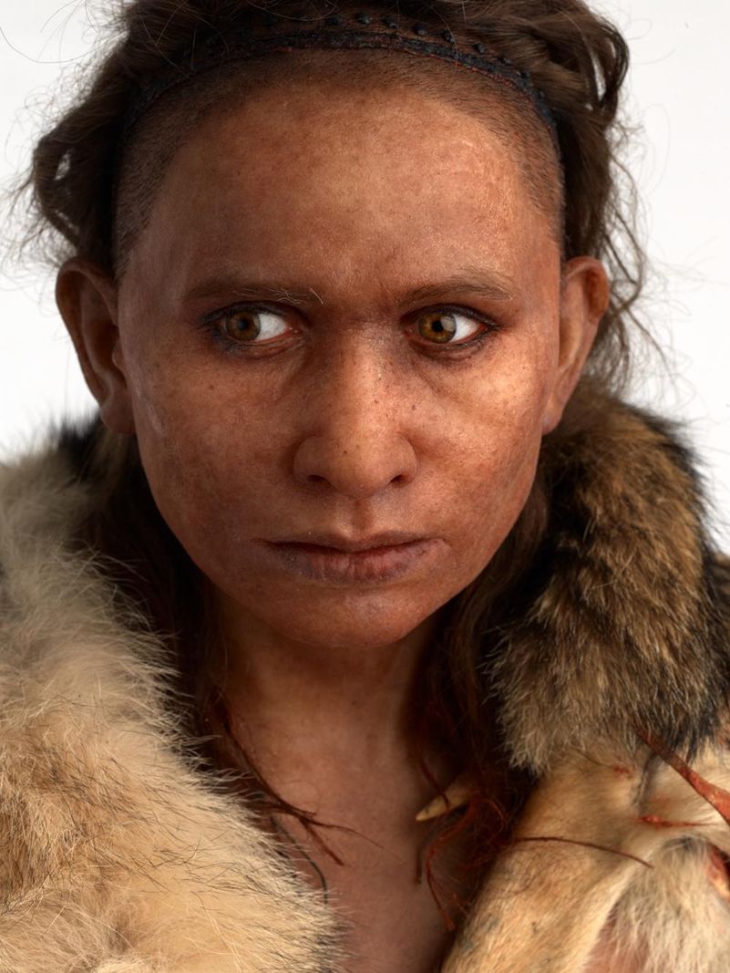 Histoire – Révolution chez dame sapiens | Tribune de Genève