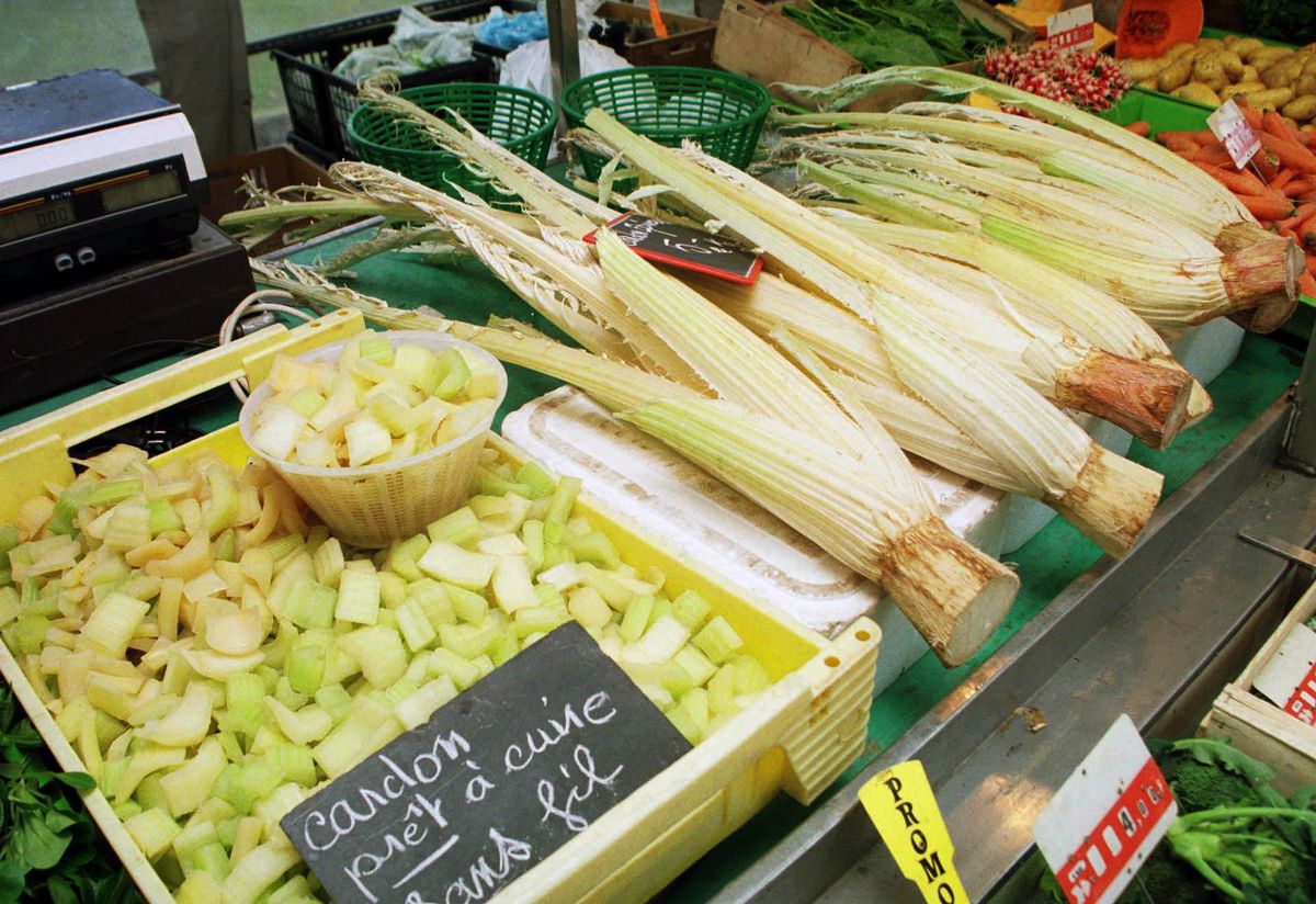 Nouveau coup de théâtre dans la saga du cardon épineux de Plainpalais ...