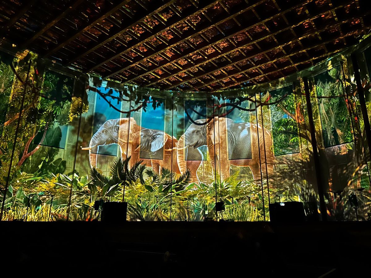 Pixelzoo Jungle: In 40 Minuten durch den Dschungel