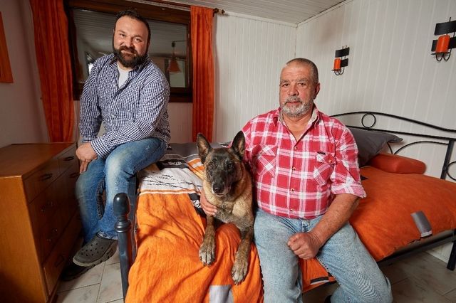 Der richtige Riecher für Bettwanzen | Thuner Tagblatt