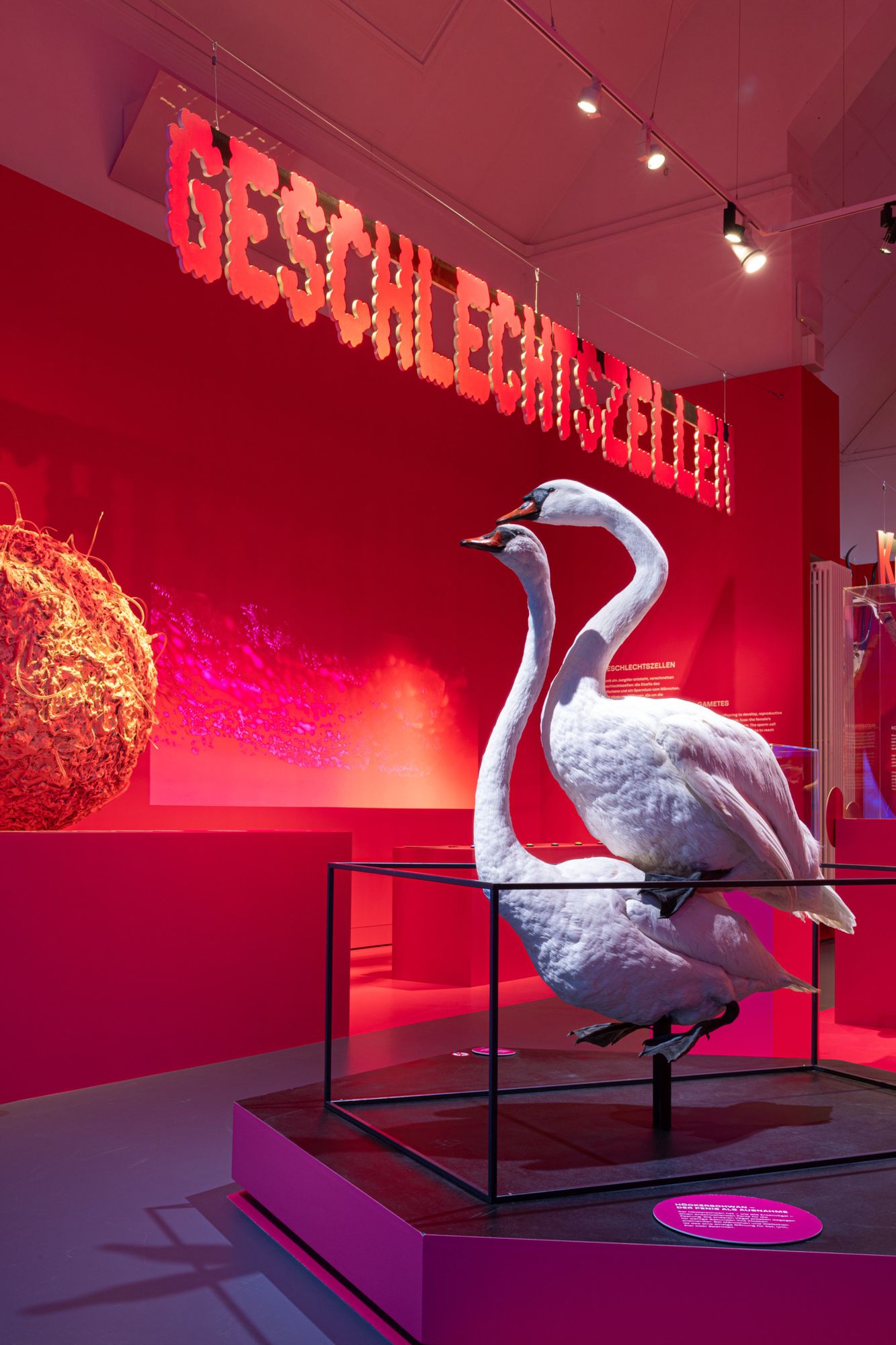 Museen Schweiz: Unerwartet gute Eintrittszahlen im 2023 | Berner Zeitung