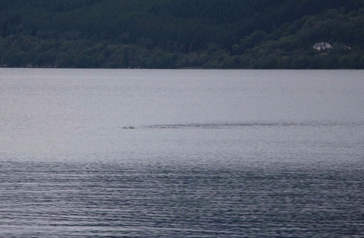 Mythos Loch Ness: Das «aufregendste Foto» von Nessie | Basler Zeitung