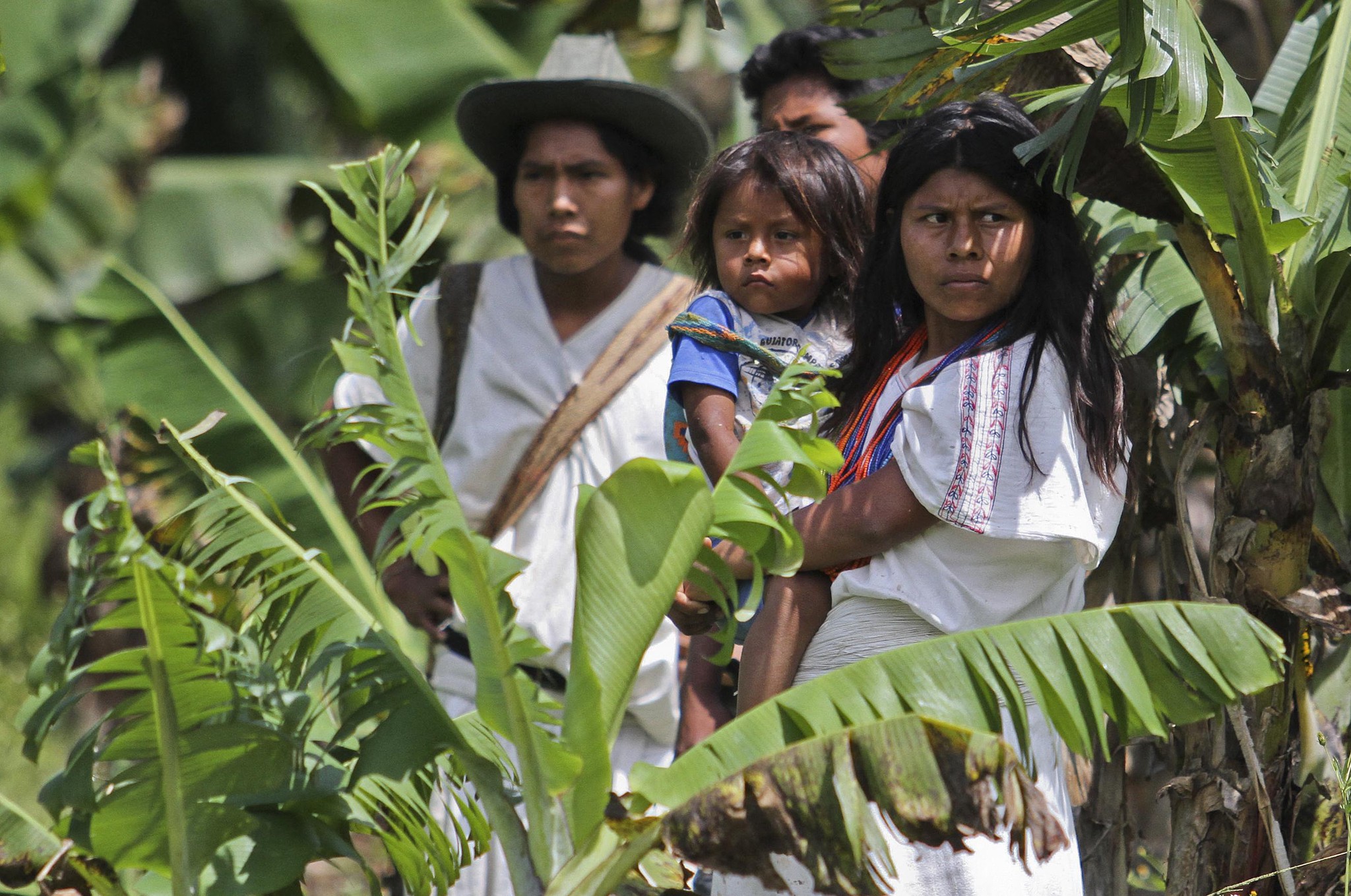 Colombie: Quatre peuples indigènes érigés au rang de patrimoine de l ...