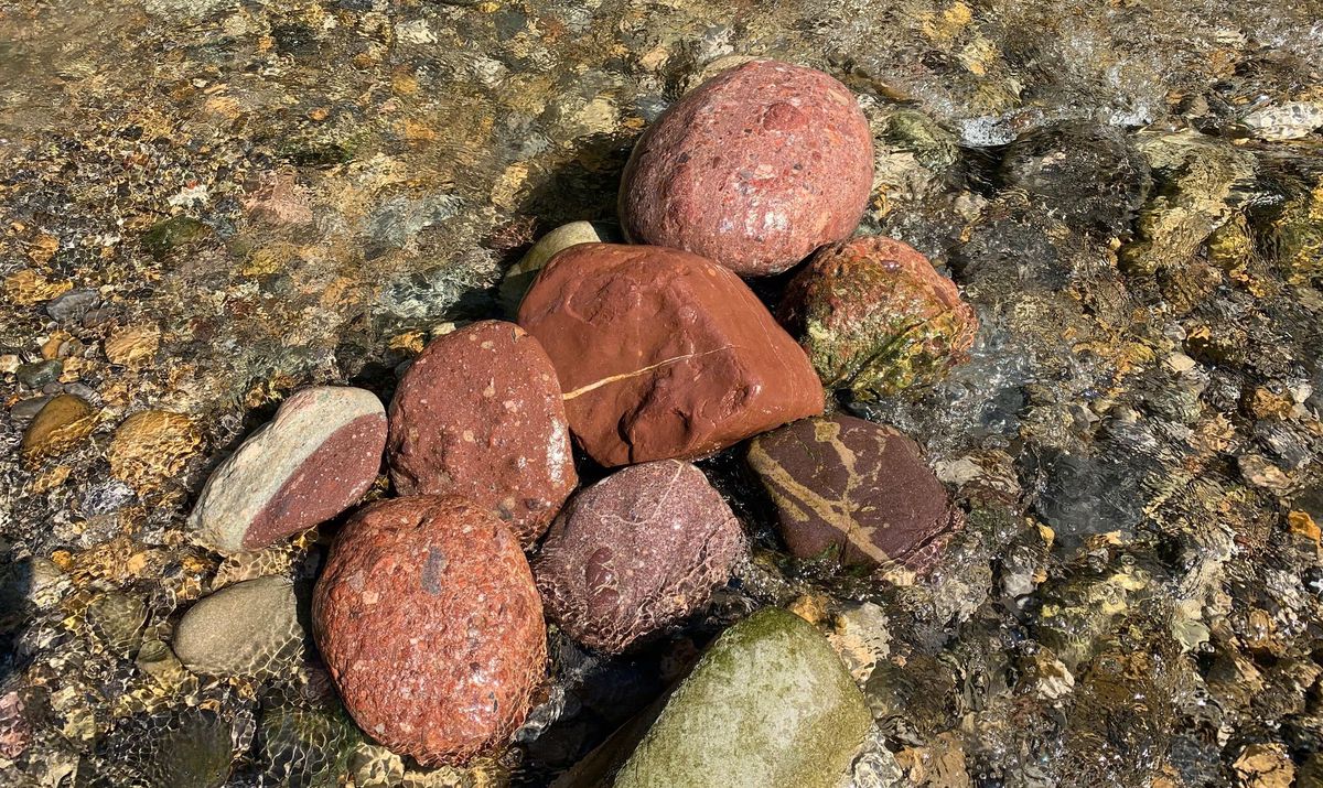 Roter Stein reist seit Jahrmillionen Richtung Norden | Tages-Anzeiger