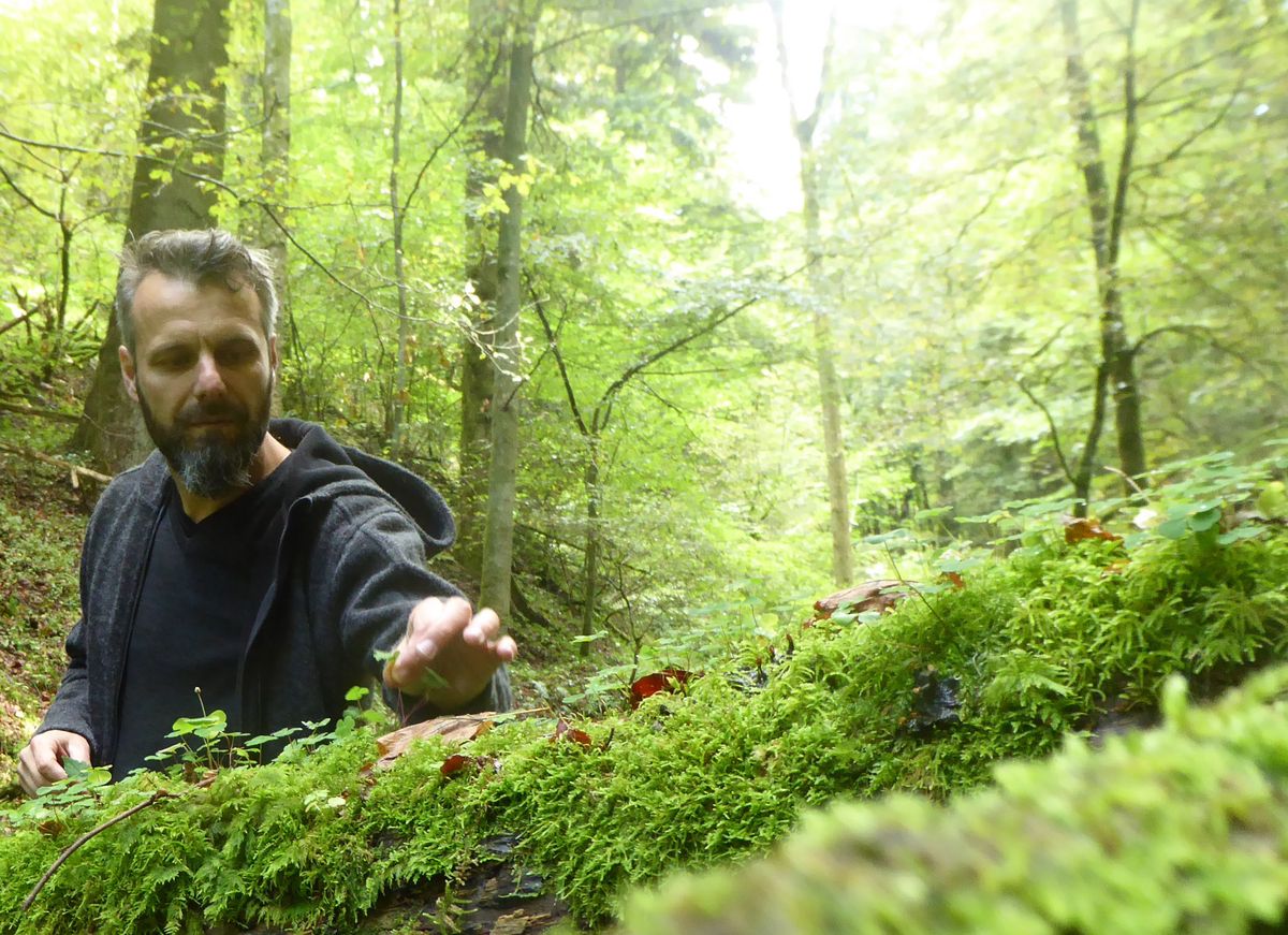 Was geht? Die Ausgehtipps der Woche: Bobby Alu weist den musikalischen ...