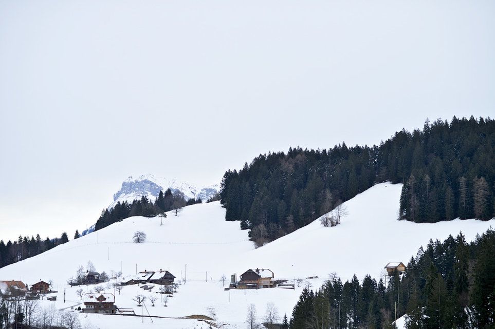 «Alle arbeiten, bis sie tot umfallen» | Tages-Anzeiger