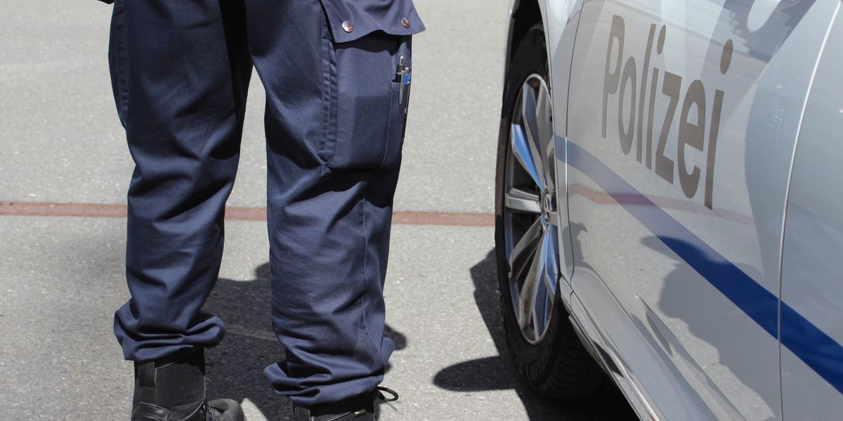 Zugunfall in Oberwil bei Zug: Mann schwer verletzt, Hund tot