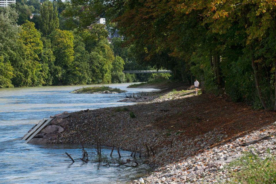 Die Limmat fliesst jetzt mitten durch den Wald | Tages-Anzeiger